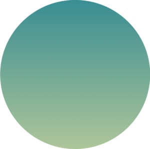 Bidgely UtilityAI - - Bidgely UtilityAI™ - Energy Analytics