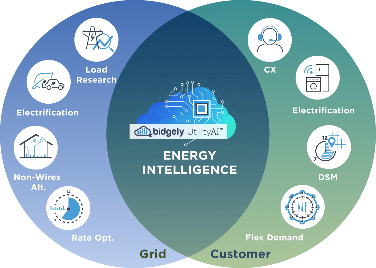 Bidgely UtilityAI - - Bidgely UtilityAI™ - Energy Analytics