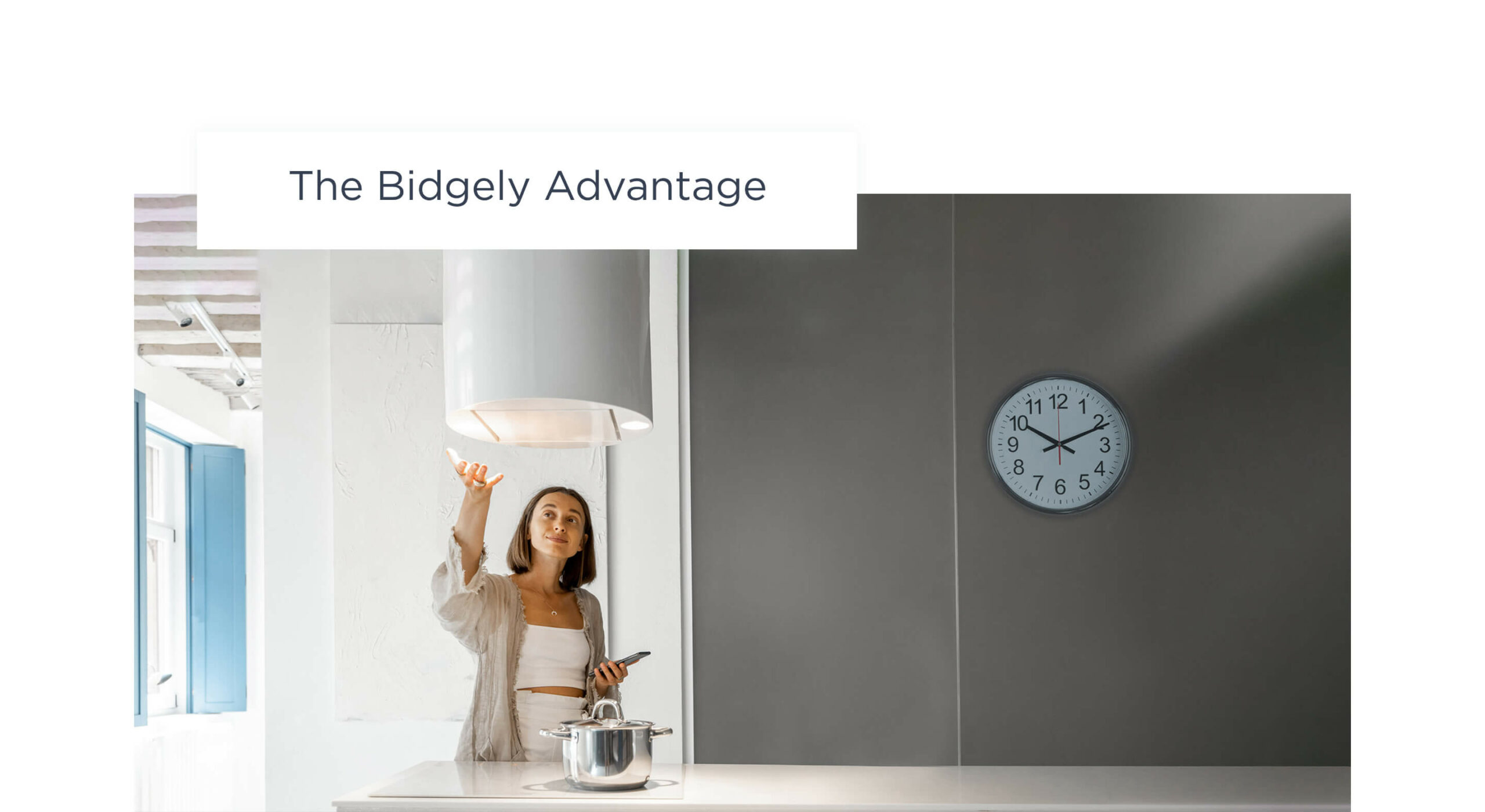 Flex Demand - - Bidgely UtilityAI™ - Energy Analytics