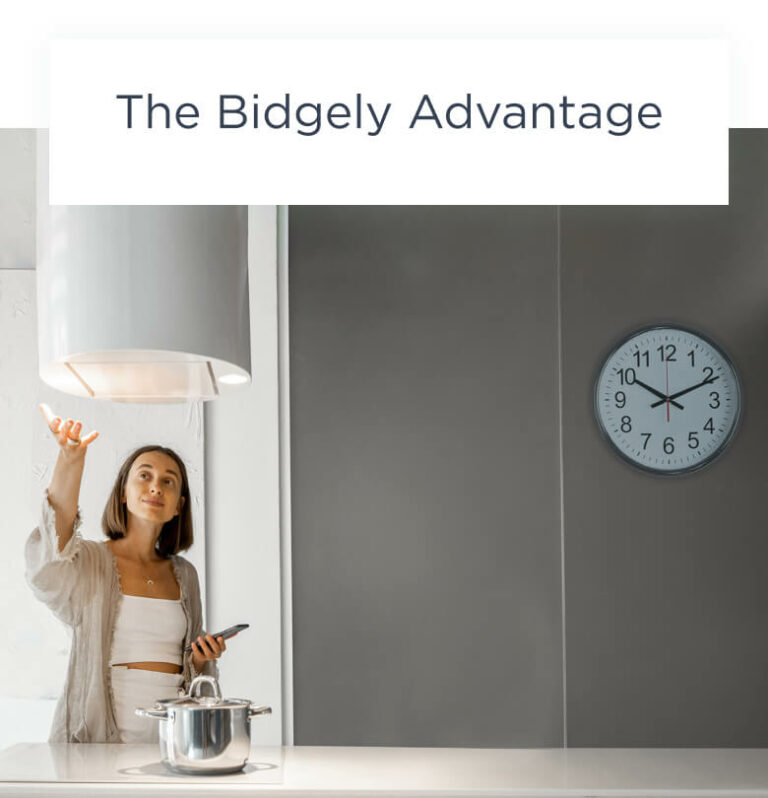 Flex Demand - - Bidgely UtilityAI™ - Energy Analytics