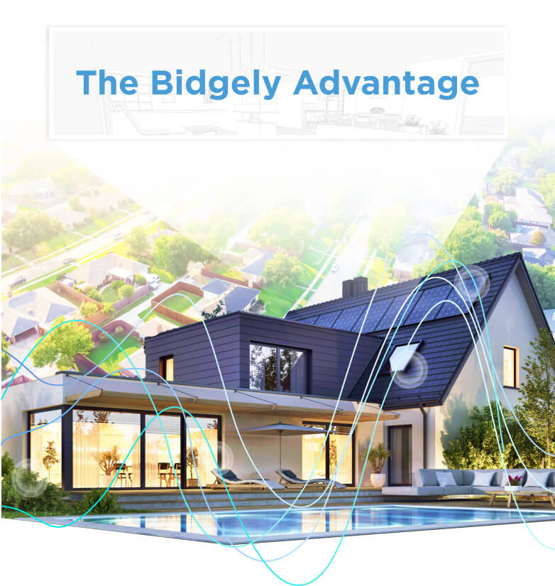 Energy Efficiency - - Bidgely UtilityAI™ - Energy Analytics