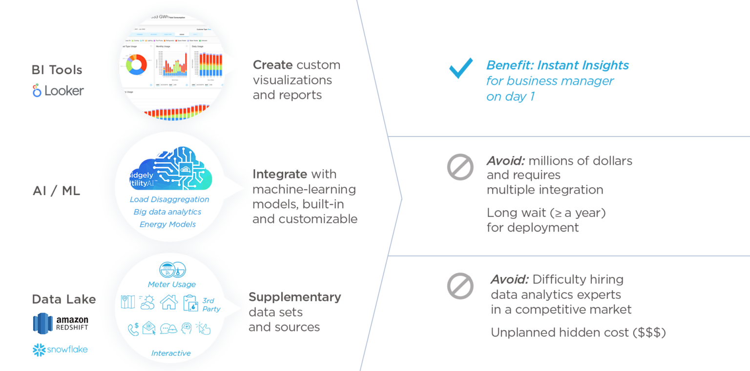 Disaggregation - - Bidgely UtilityAI™ - Energy Analytics